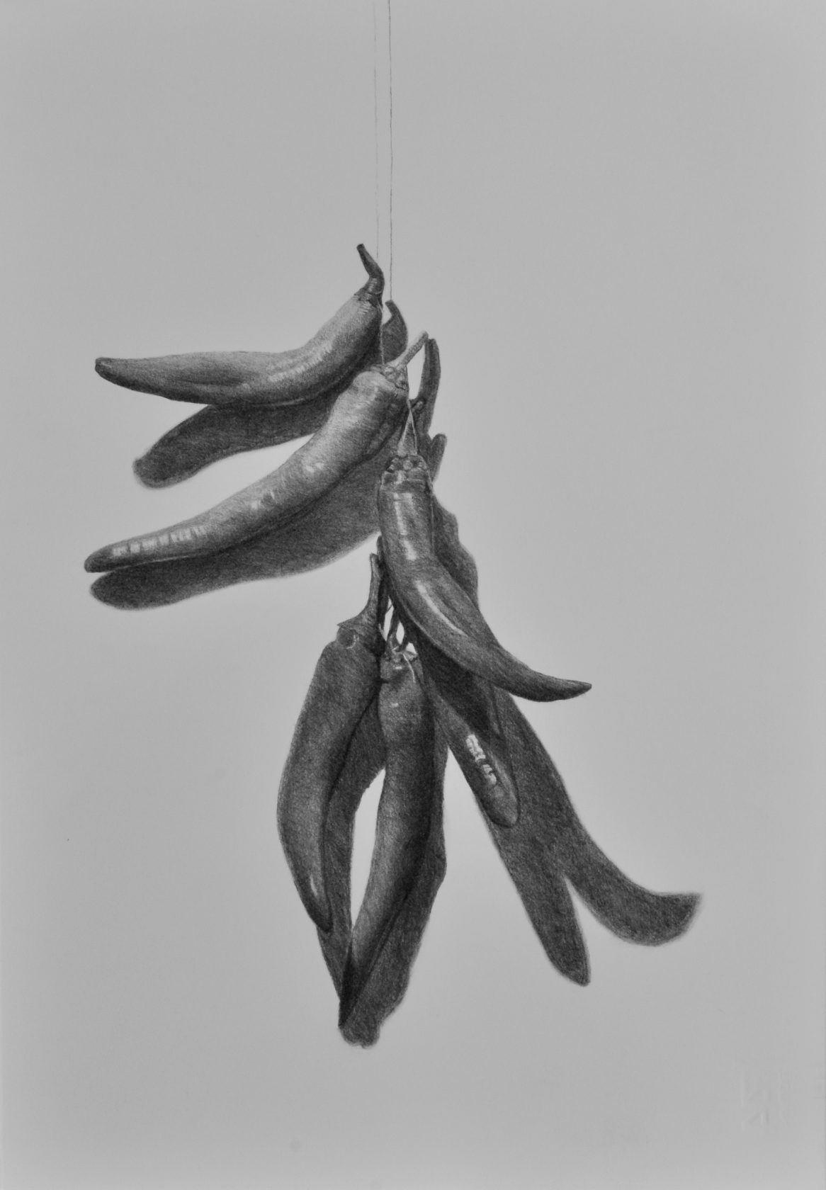 De roots van Samah Shihadi @ Museum MORE - Jegens & Tevens - Online ...